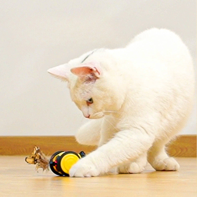 Unleash the Fun: Discover the Electric Cat Car Toy! – Critters Collective
